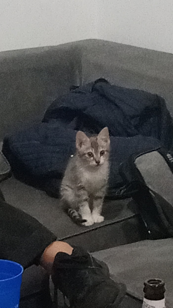 She's so smol sitting over there all alone - 9GAG