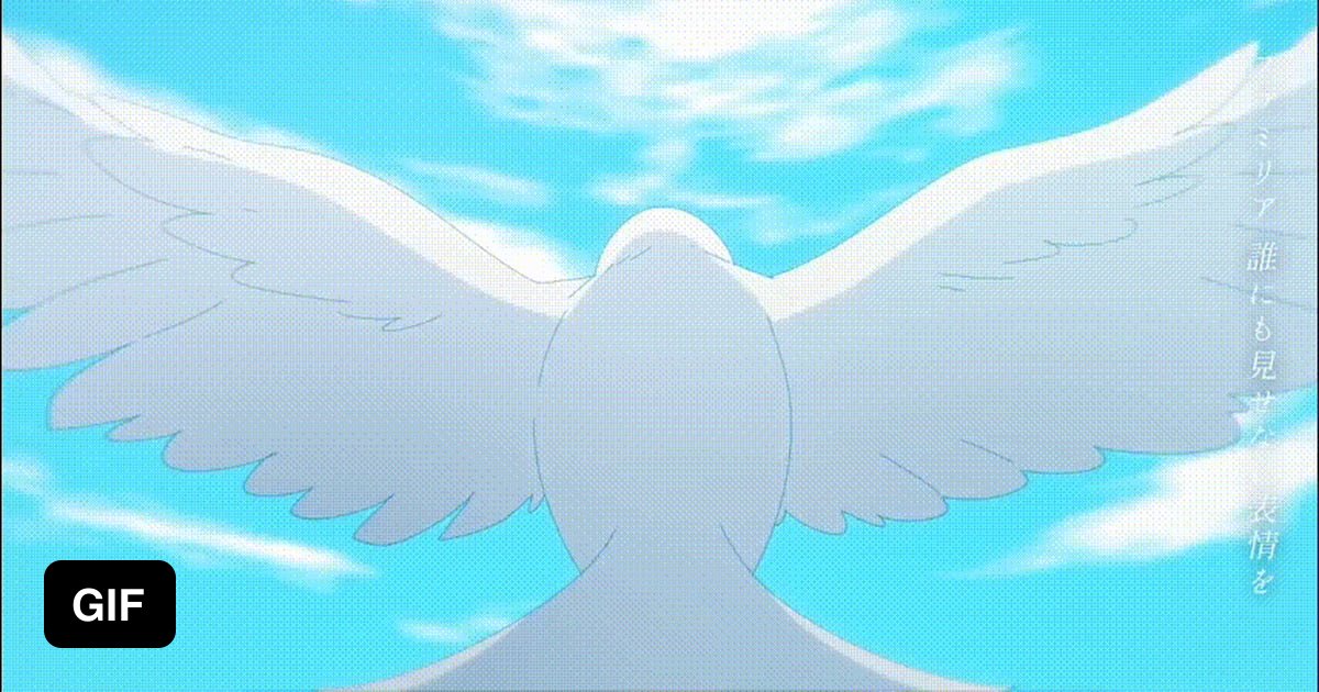 Angel 9gag