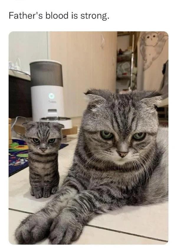 Father son and😍 - 9GAG