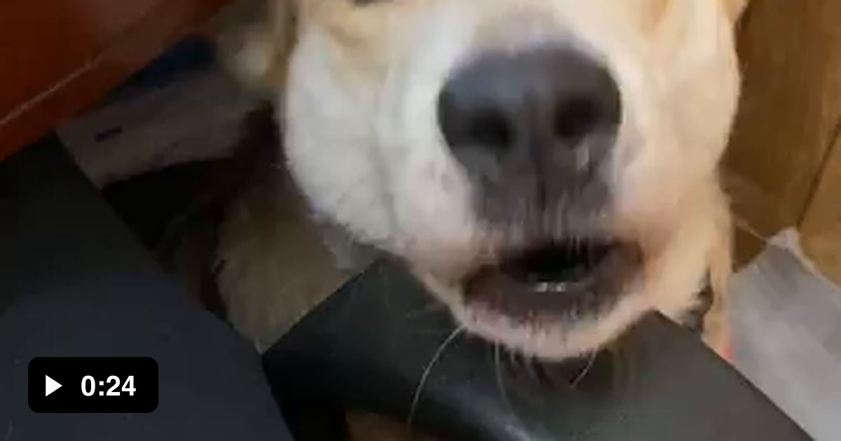 Tippy tap tantrum - 9GAG