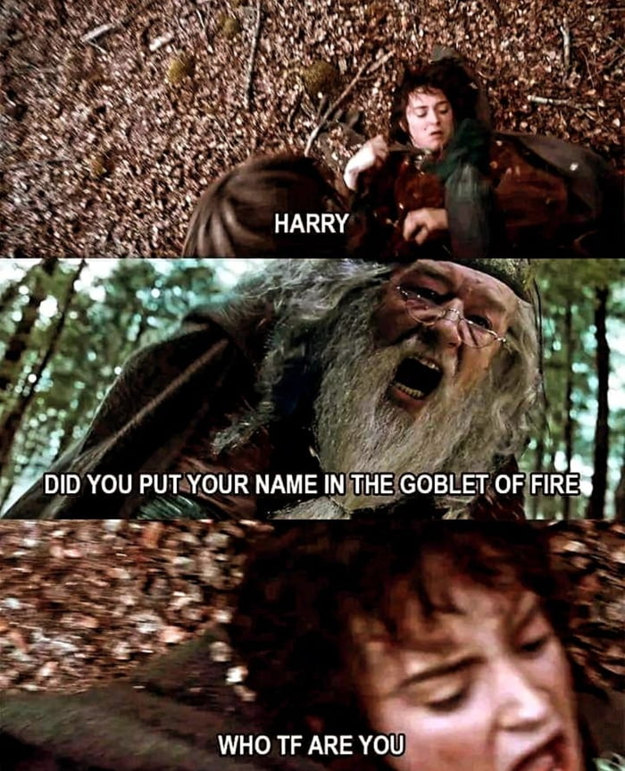You're a wizard frodo! - 9GAG