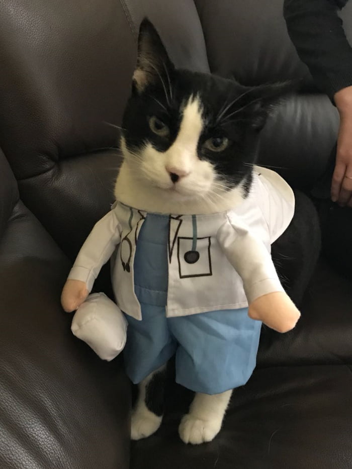 Here's Félix. He might look grumpy but he's just taking his job very ...