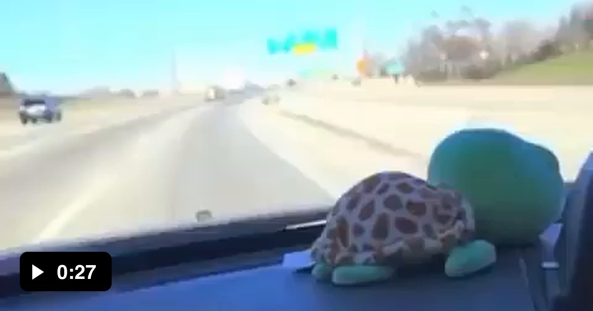 Come oooon and take a free ride! 🎼 - 9GAG