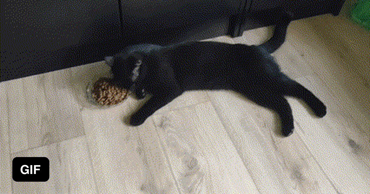 Lazy Karamačko iz lazy - 9GAG