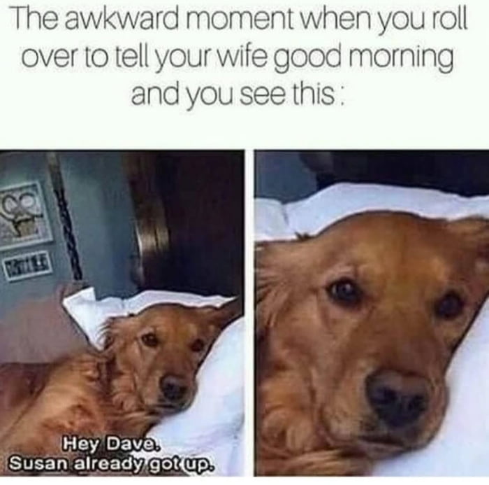 Good morning, Dave. Susan's out. - 9GAG