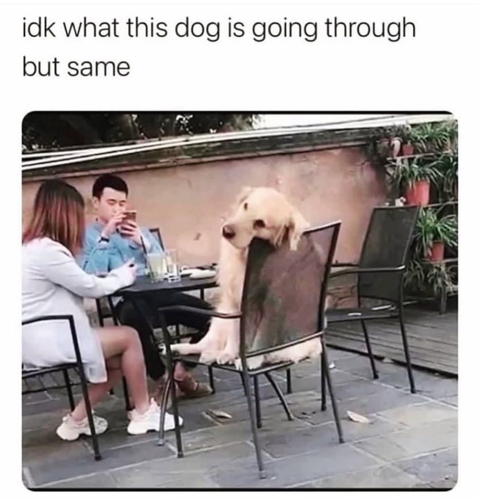When the existential crisis hits at brunch. - 9GAG