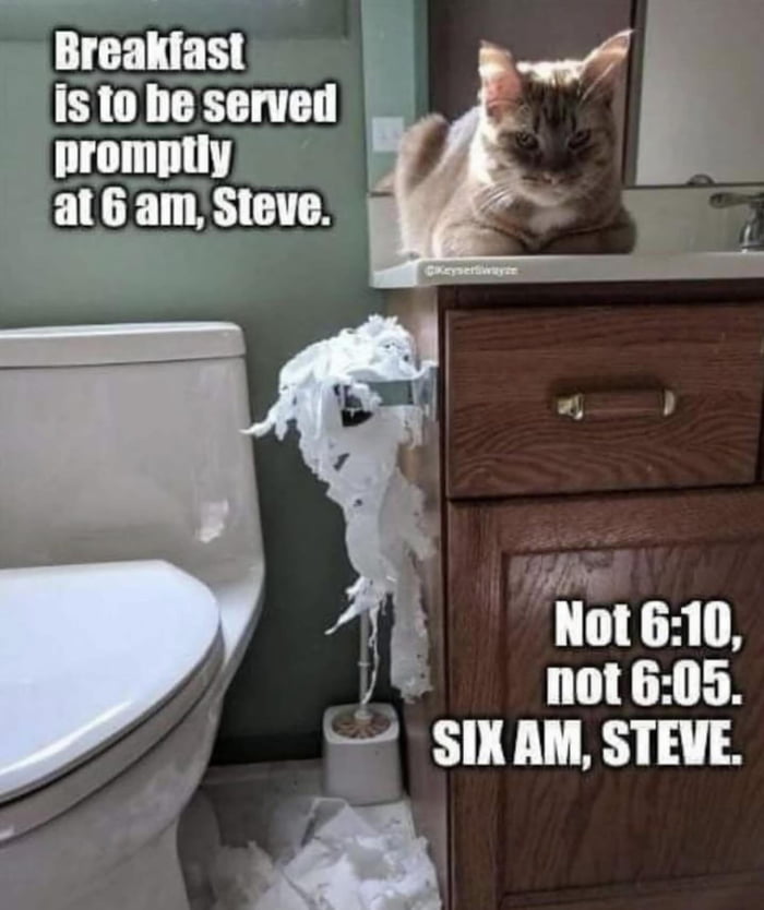 Get your shit together, Steve - 9GAG