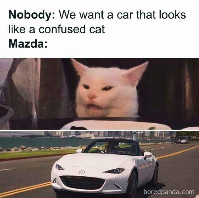 Car that looks like a cat - 9GAG