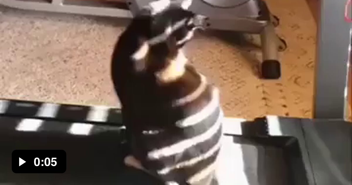 EJECT! EJECT! - 9GAG