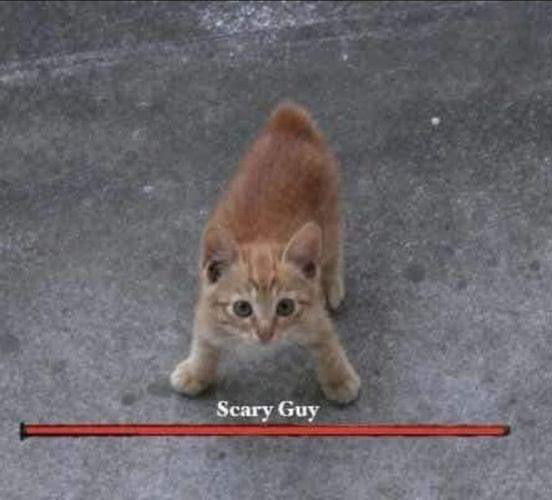 Very scary guy - 9GAG