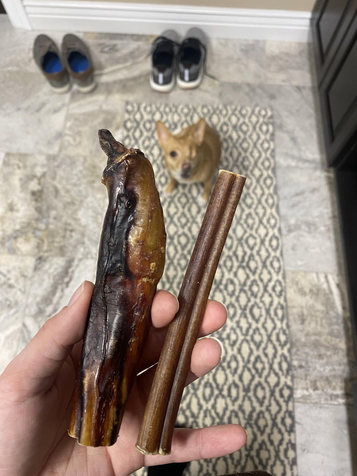 Cursed bully stick vs normal ones - 9GAG