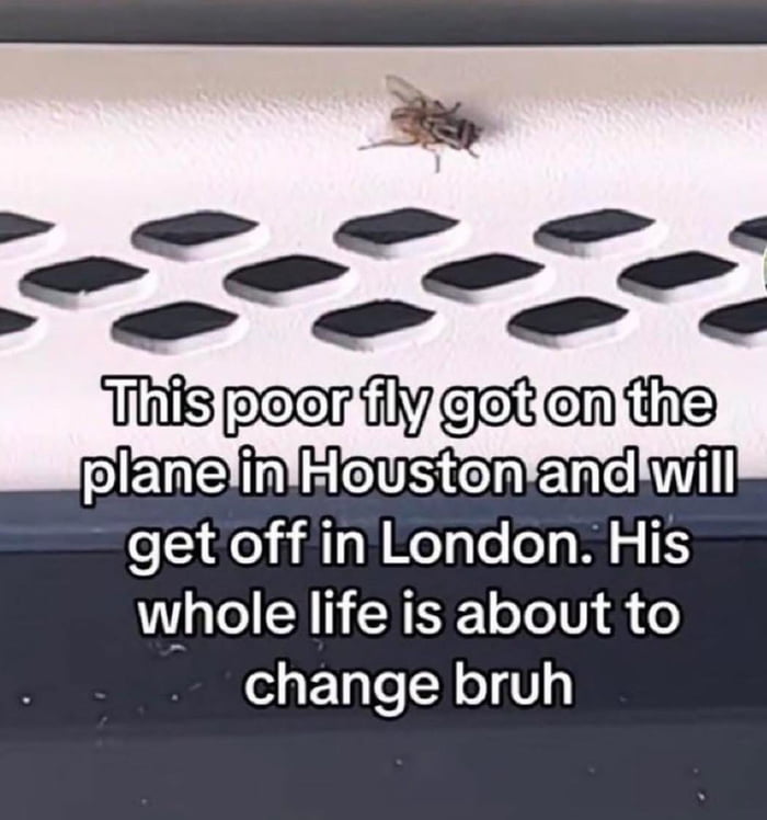 You mean „bruv”, mate. - 9GAG