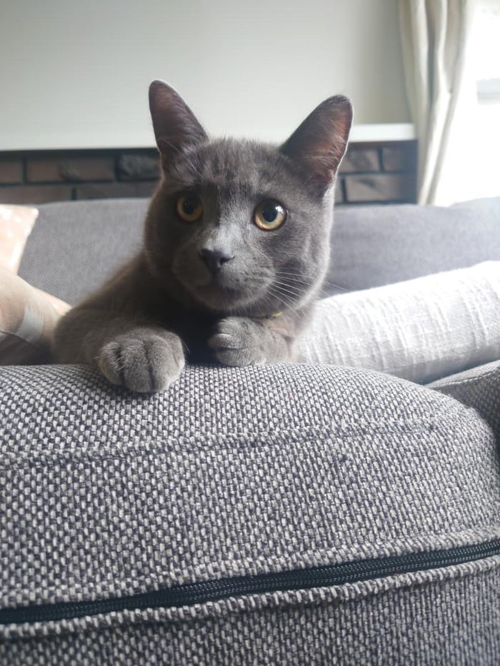 My handsome buddy just left me after 9 months. Cheers to you buddy, you ...