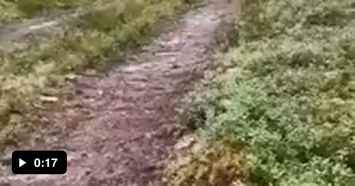 I´m gonna do what is called a "pro-gamer move". - 9GAG