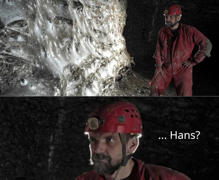 Scientists found the largest complex of spiderwebs in a cave in Greece ...