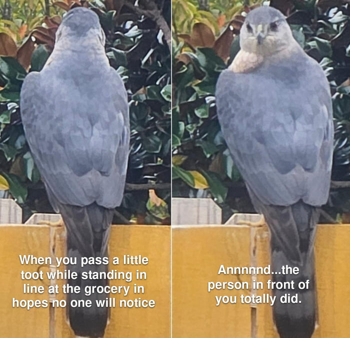 Trying to play it cool after a little toot in public - 9GAG