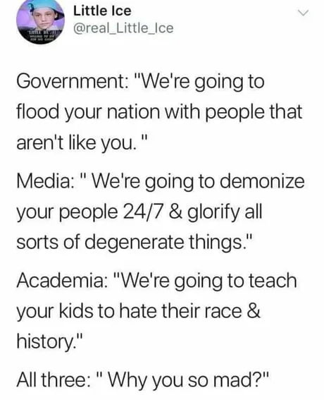 Also all three: "how could you vote for orange man?" - 9GAG