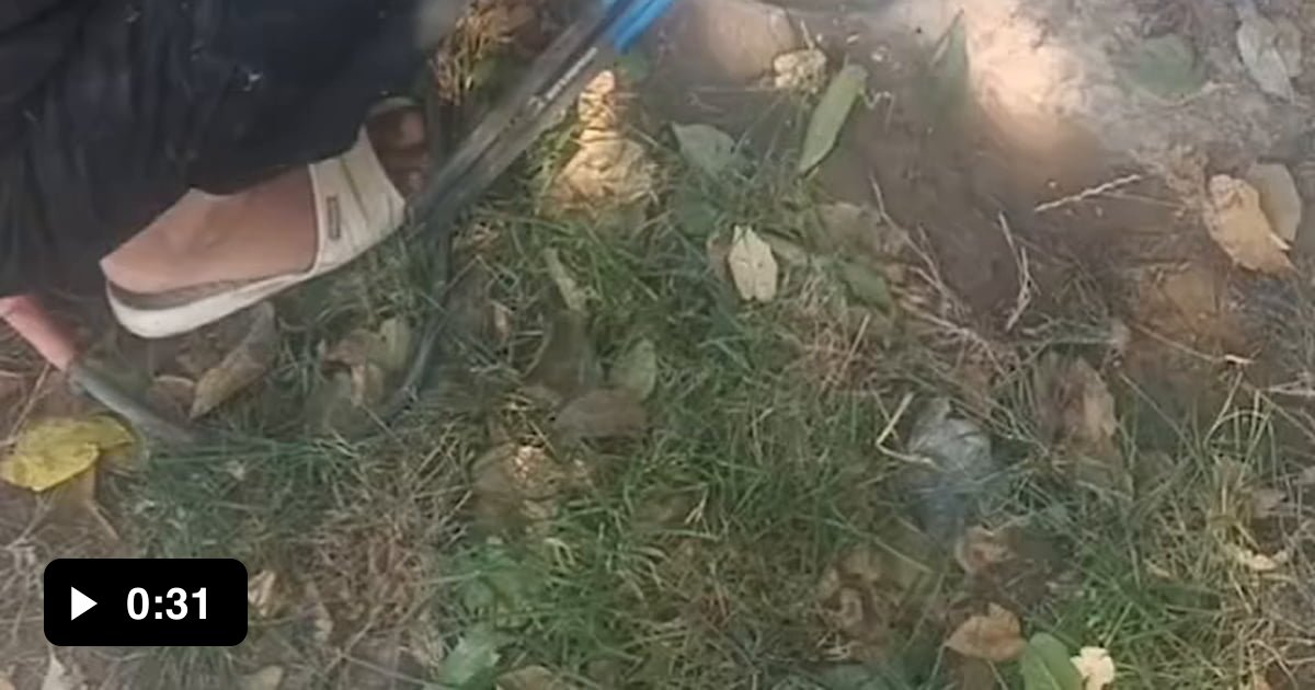 It’s ok he has flip flop on - 9GAG