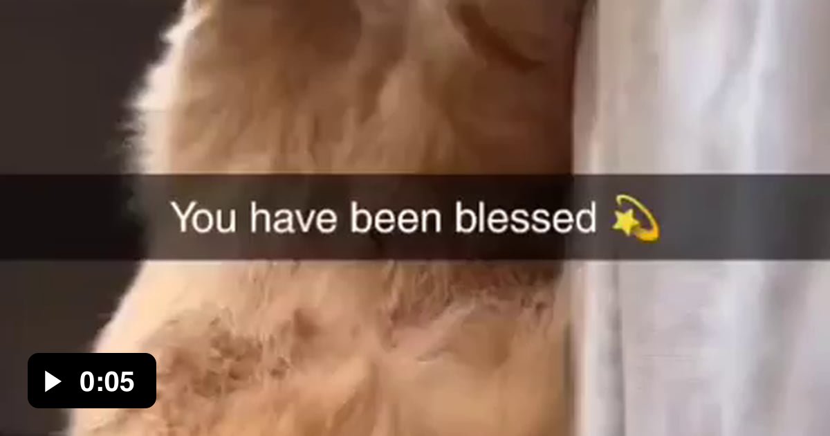 You have been blessed by the magical beans - 9GAG