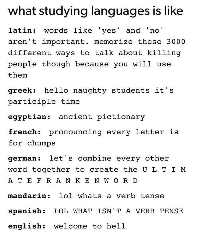 Good reason for not studying any languages - 9GAG