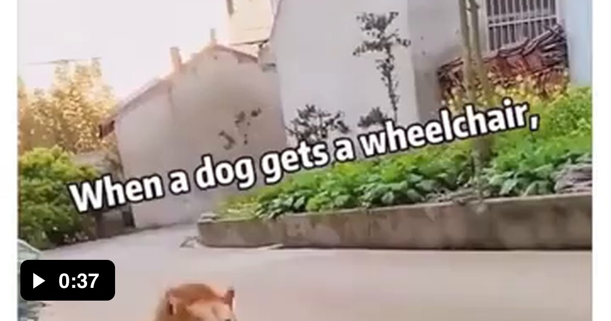 They kept their spirit through it all, and now they can feel the wind again - 9GAG