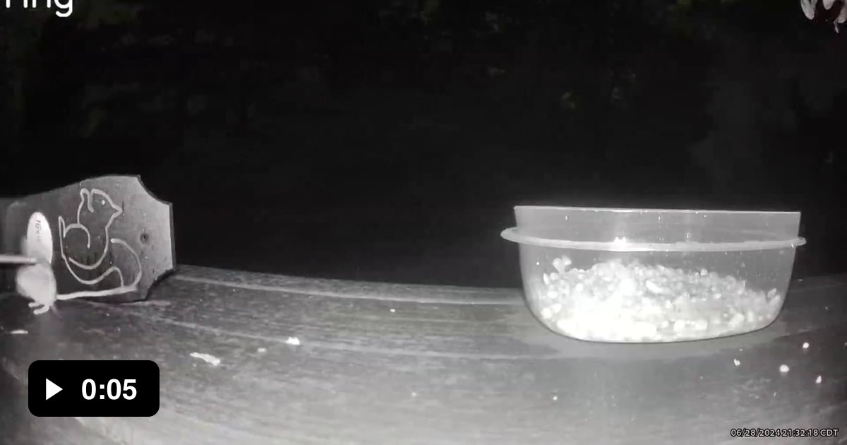 Mouse jump scare actually got me - 9GAG