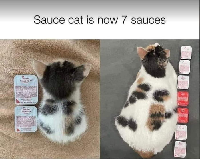 Just wanted to share the Sauce - 9GAG