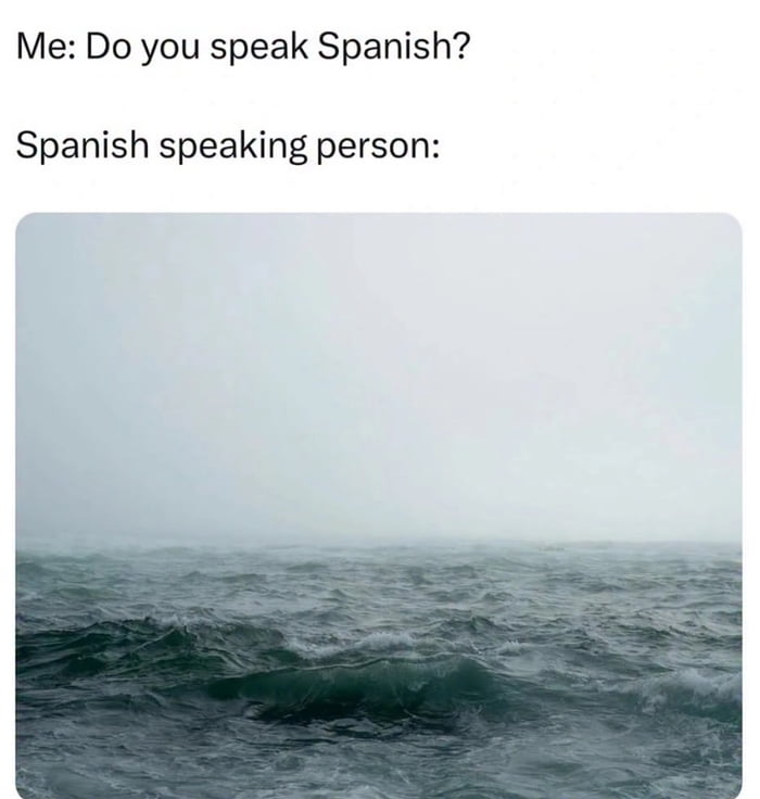 Si means yes in Spanish, and also looks like the sea - 9GAG
