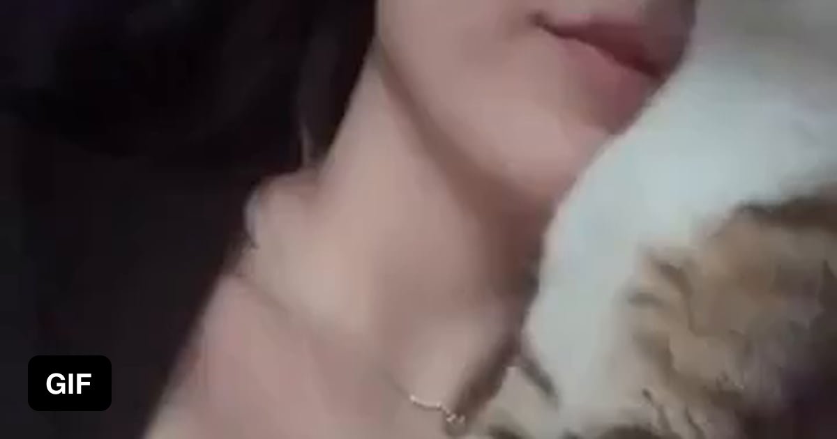 Cat is getting more action than any of us - 9GAG