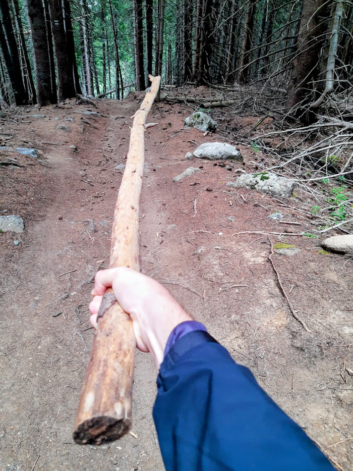 Celebrating 5000 days with a photo of a nice stick for all the men of culture - 9GAG