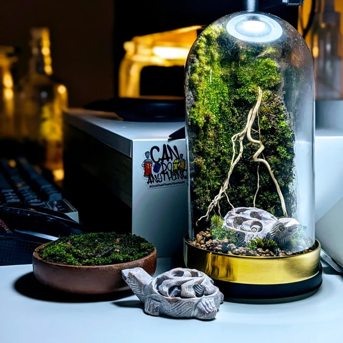 The red turtle, the turtle is made of a stone which turns red when the ...