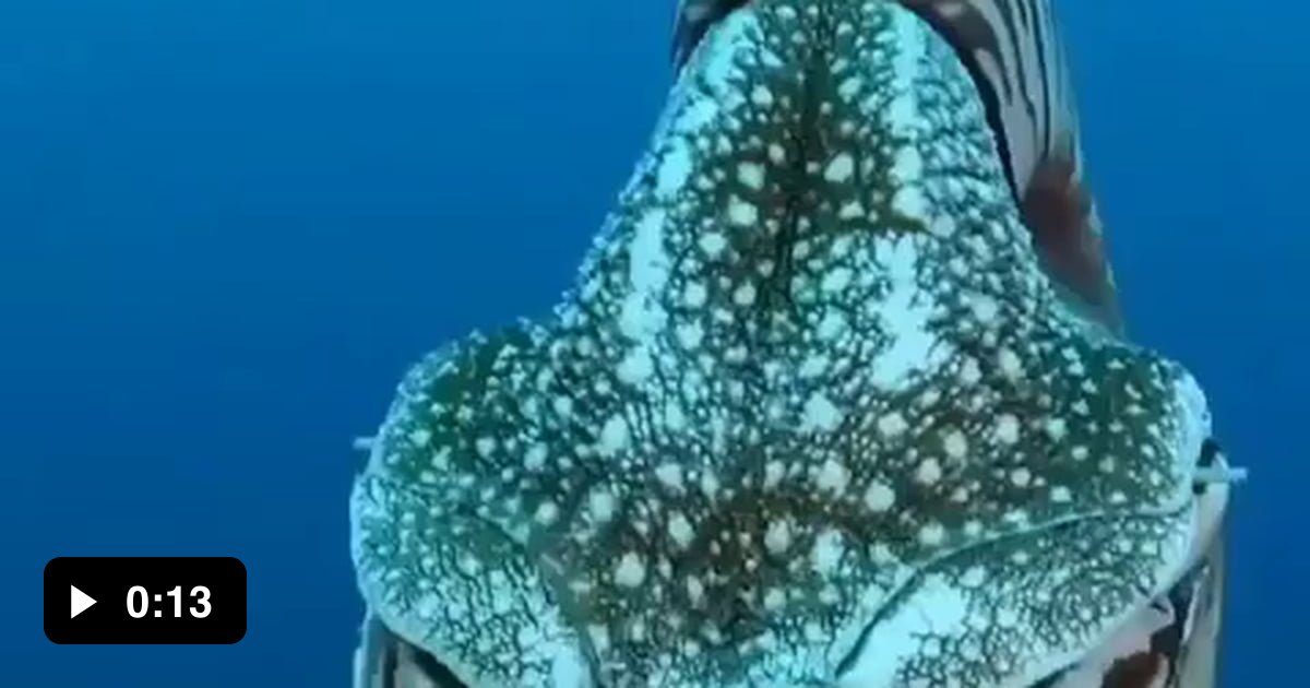 One question can we ? - 9GAG