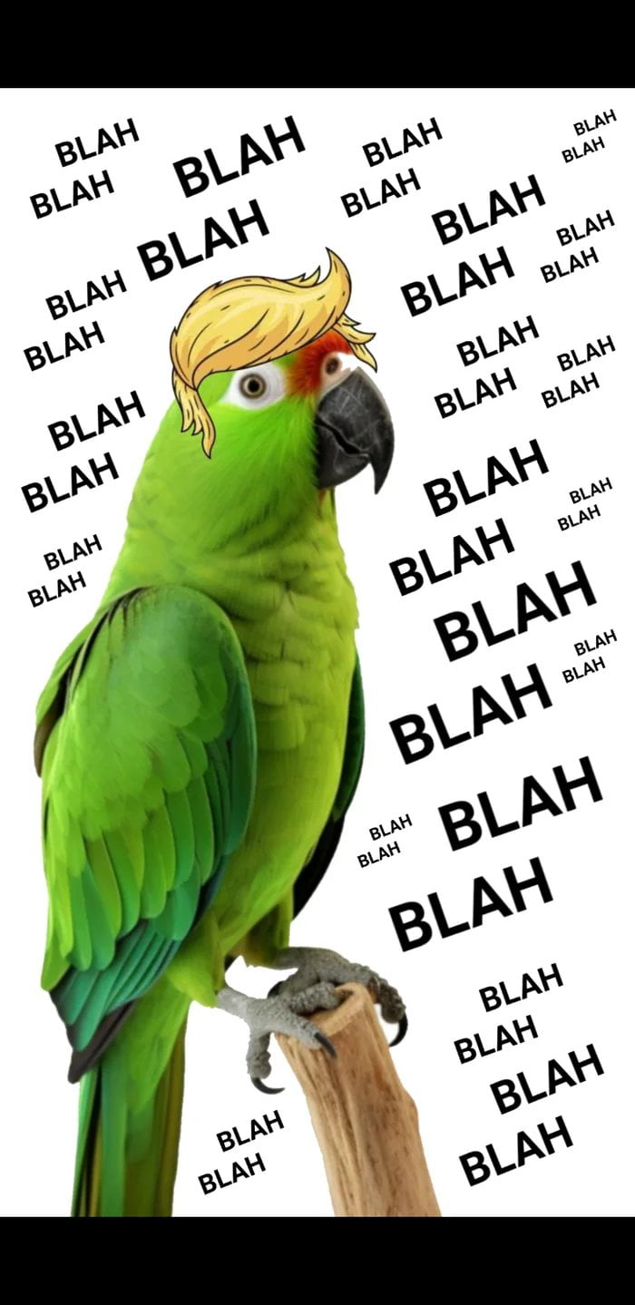 Annoying parrot... - 9GAG