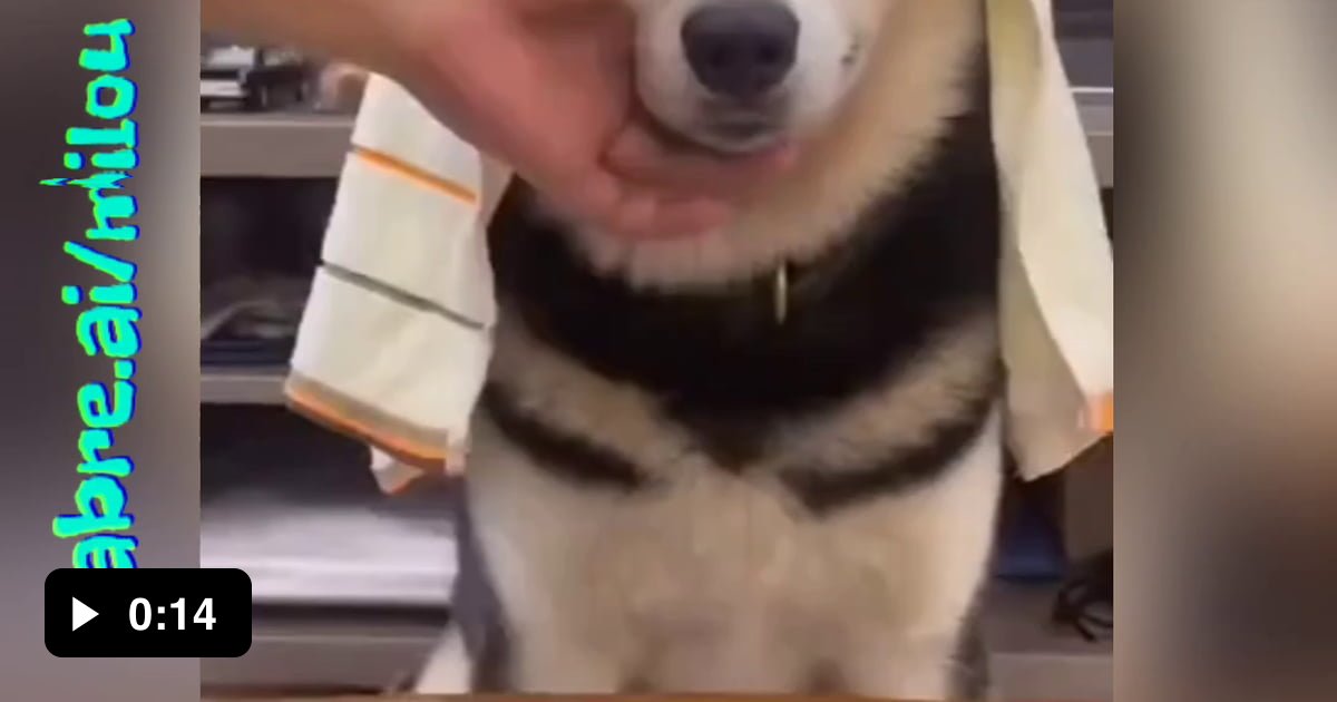 Sultan Ibn the Doggo - 9GAG