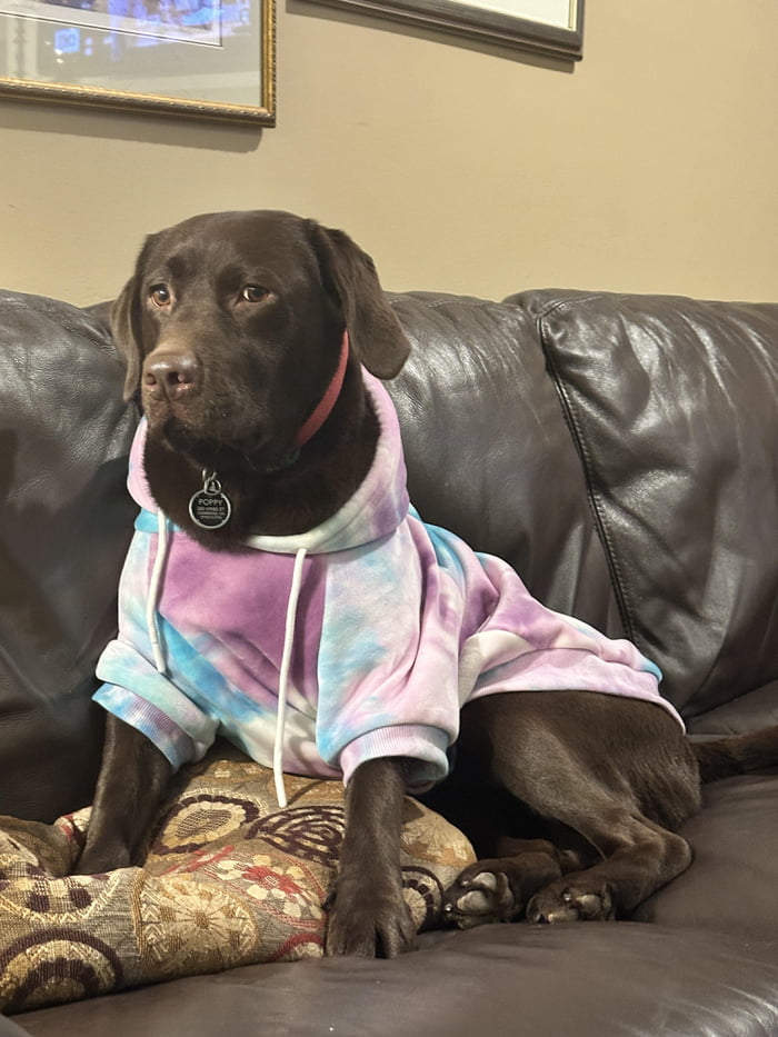 Some serious side-eye!! - 9GAG