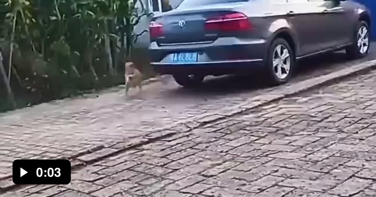 The sound of bones rattling on the stones - 9GAG