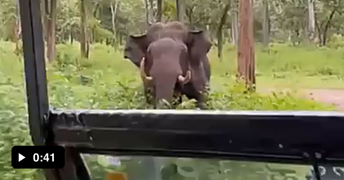 Mad driving skills. - 9GAG