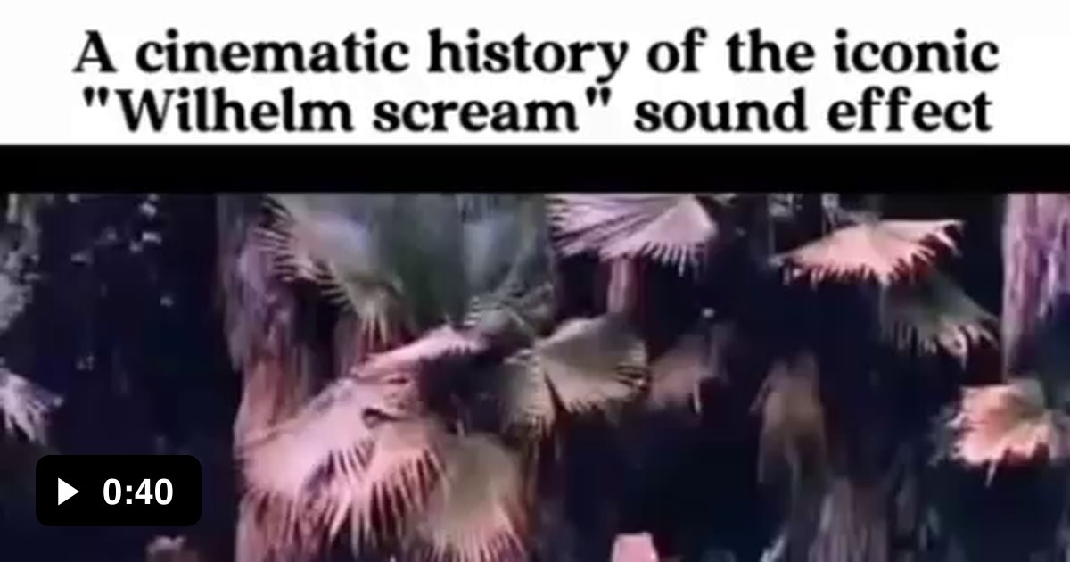 The Wilhelm scream - 9GAG