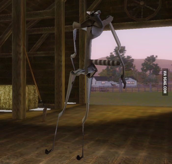 I felt sorry for that raccoon in Sims 3 - 9GAG
