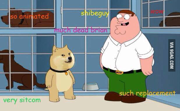 Wow much new doge - 9GAG