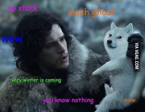 Dire doge, such snow much winter wow. - 9GAG