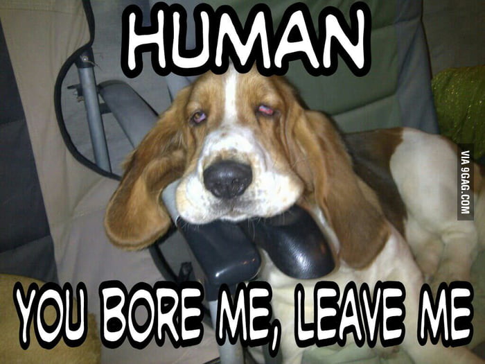 Human, you bore me - 9GAG