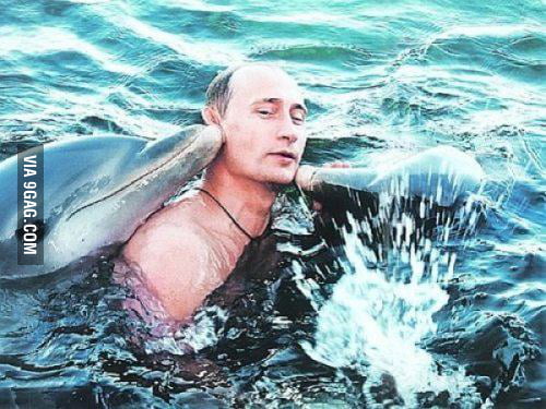 Just Putin, swimming with dolphins - 9GAG