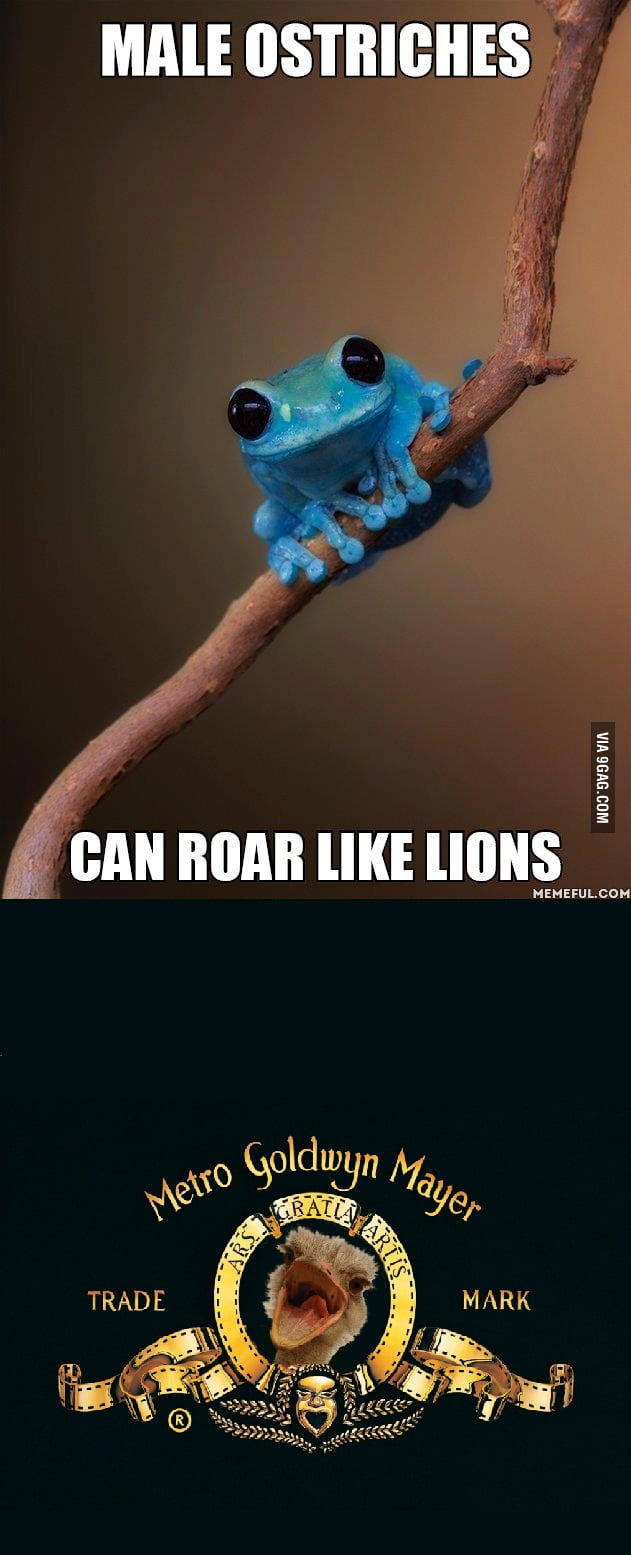 Just stop for a moment and imagine this! - 9GAG