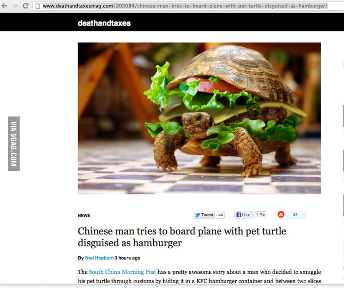 I don't know where to begin - 9GAG