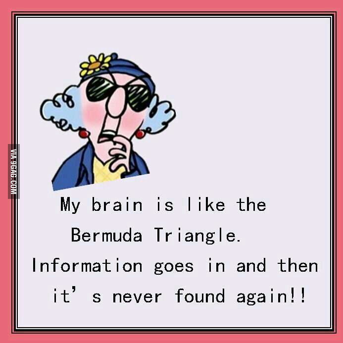 My Brain is like Bermuda Triangle - 9GAG