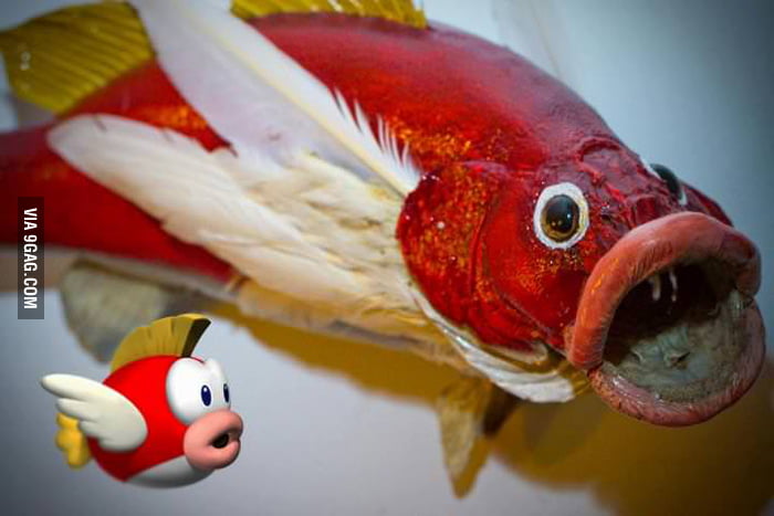 Mario Fish - 9GAG