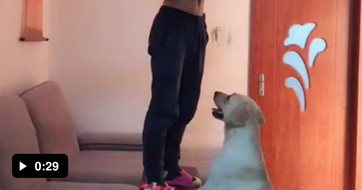 Gud boi or smart boi? - 9GAG