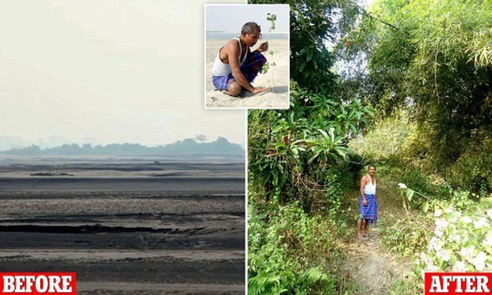 A man planted a tree every day for 39+ years and it created a forest ...