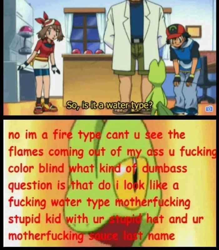 Ash, you dipshit, he is clearly a flying type - 9GAG